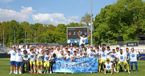 Erstmals drittklassig: Hoffenheim II steigt in die 3. Liga auf – liga3 ...